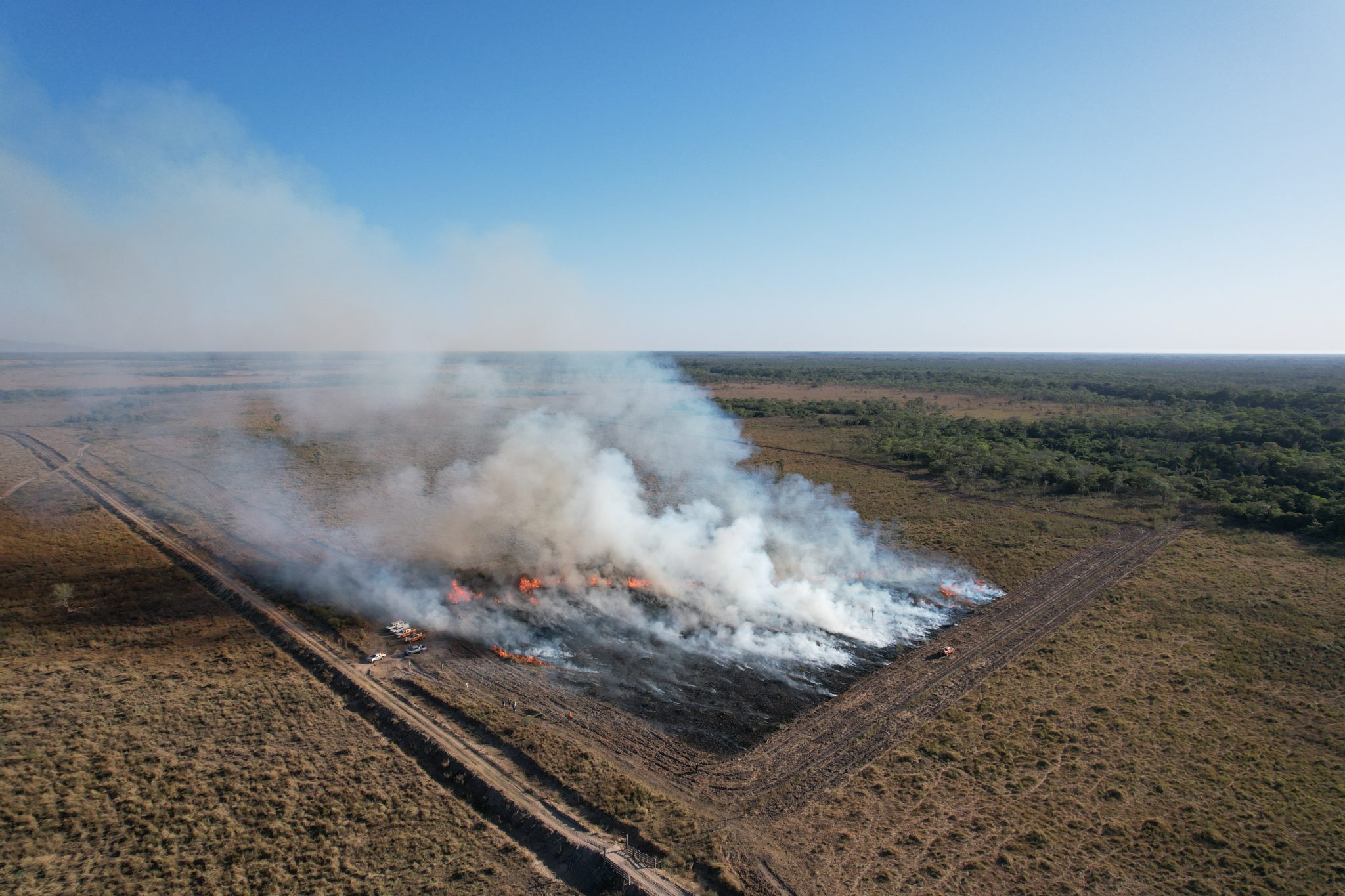 Estudo avalia aspectos da queima controlada na pecuária pantaneira ...
